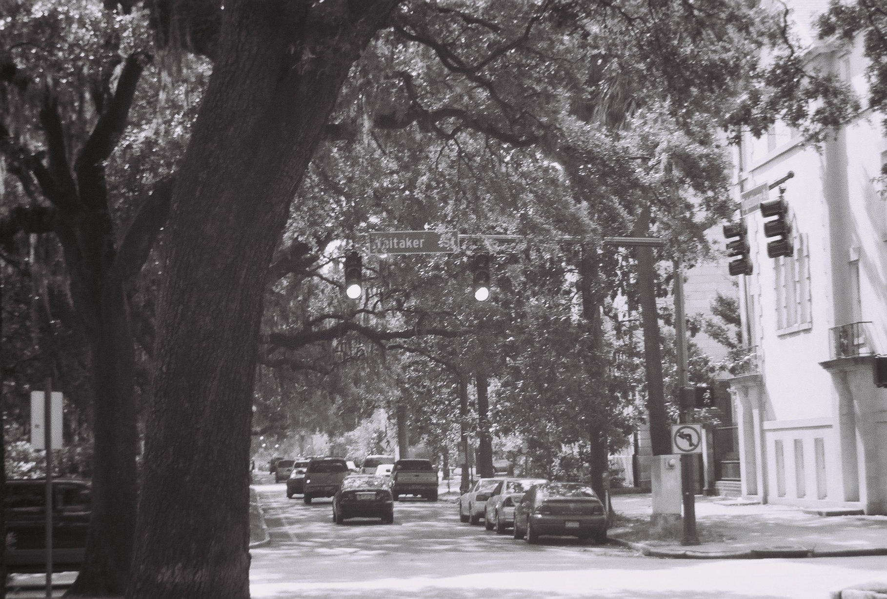 Whitaker Street – The Paris Savannah Connection